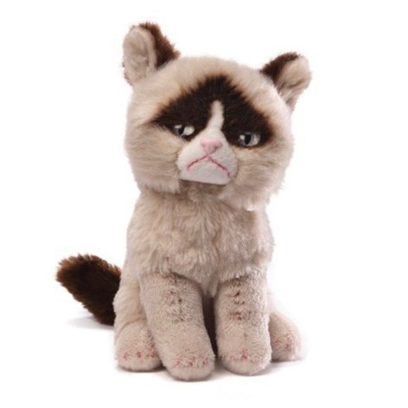Gund | Toys | Grumpy Cat Plush Stuffed Animal Sits 6 Bean | Poshmark